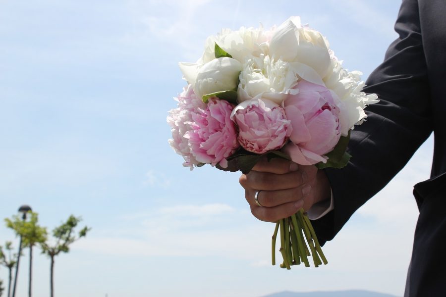 7 Fakta Menarik Peony, Bunga Indah Penuh Makna - Haluan Lifestyle
