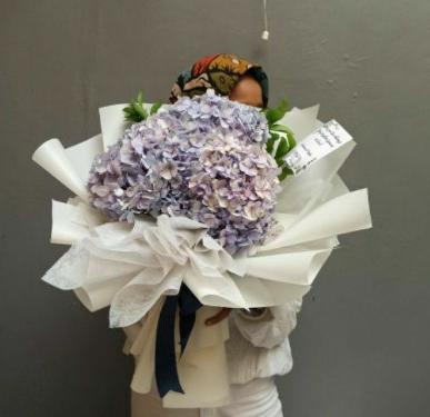 10 Bunga Cantik Bermakna Permintaan Maaf - Haluan Lifestyle