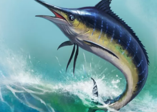 Fakta-fakta Ikan Todak yang Unik - Haluan Lifestyle