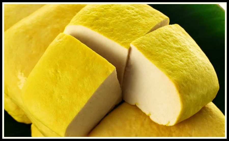 Tofu dan Tahu, Asal Mula Nama dan Perbedaan Budaya - Haluan Lifestyle
