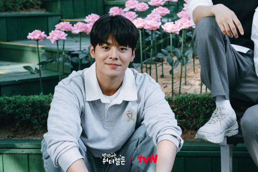 3 Rekomendasi Drama Korea Ryeoun, Bintang Utama di Twinkling Watermelon - Haluan Lifestyle