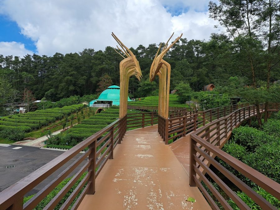 Asstro Highland Ciater, Glamping Dikelilingi Kebun Teh - Haluan Lifestyle